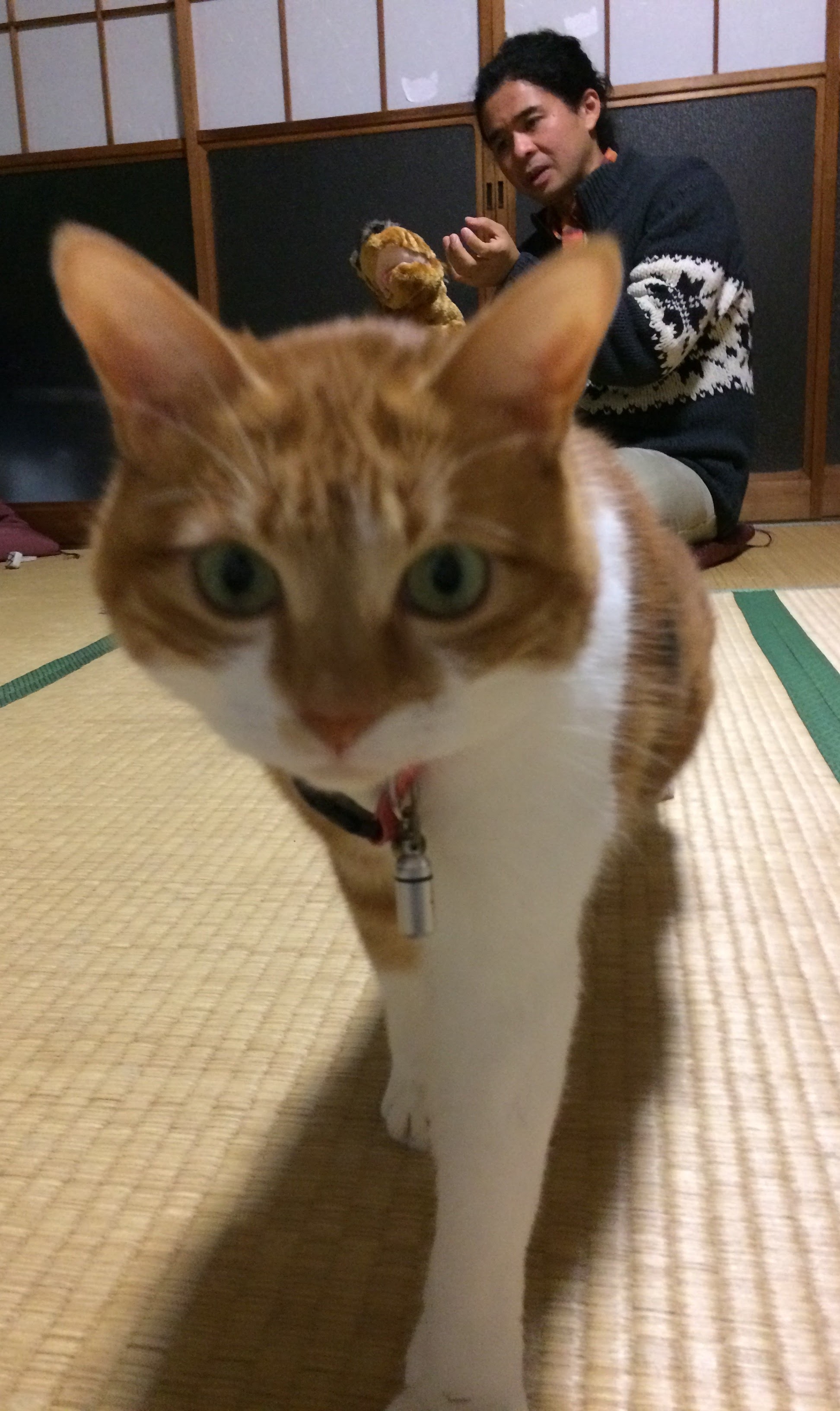 【羽根木3月4回】安納献特別講座「改めて・OFNRの意味」