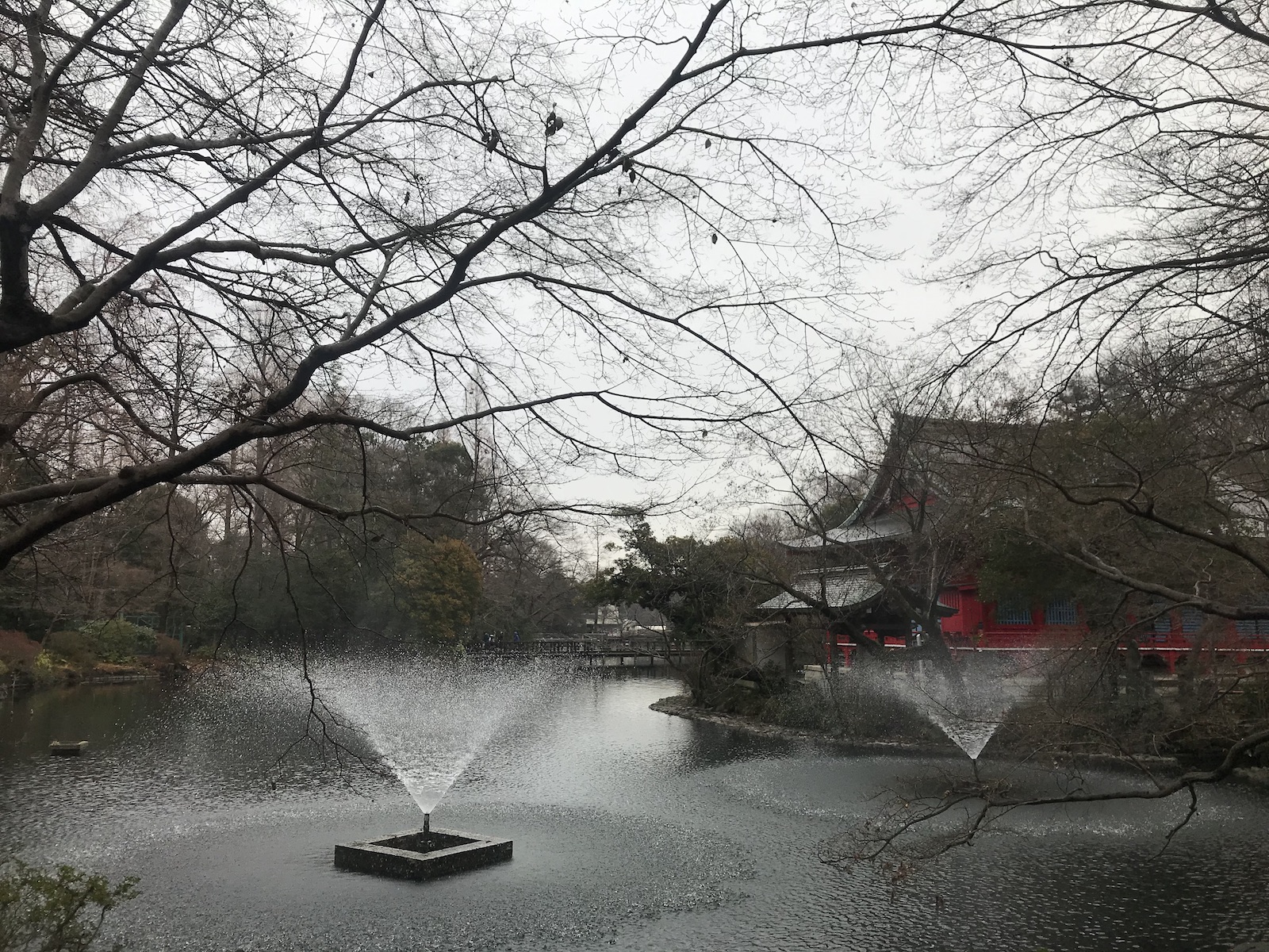 【東京・吉祥寺2/27】森の共感カフェ〔栗山のぞみ・西東万里〕