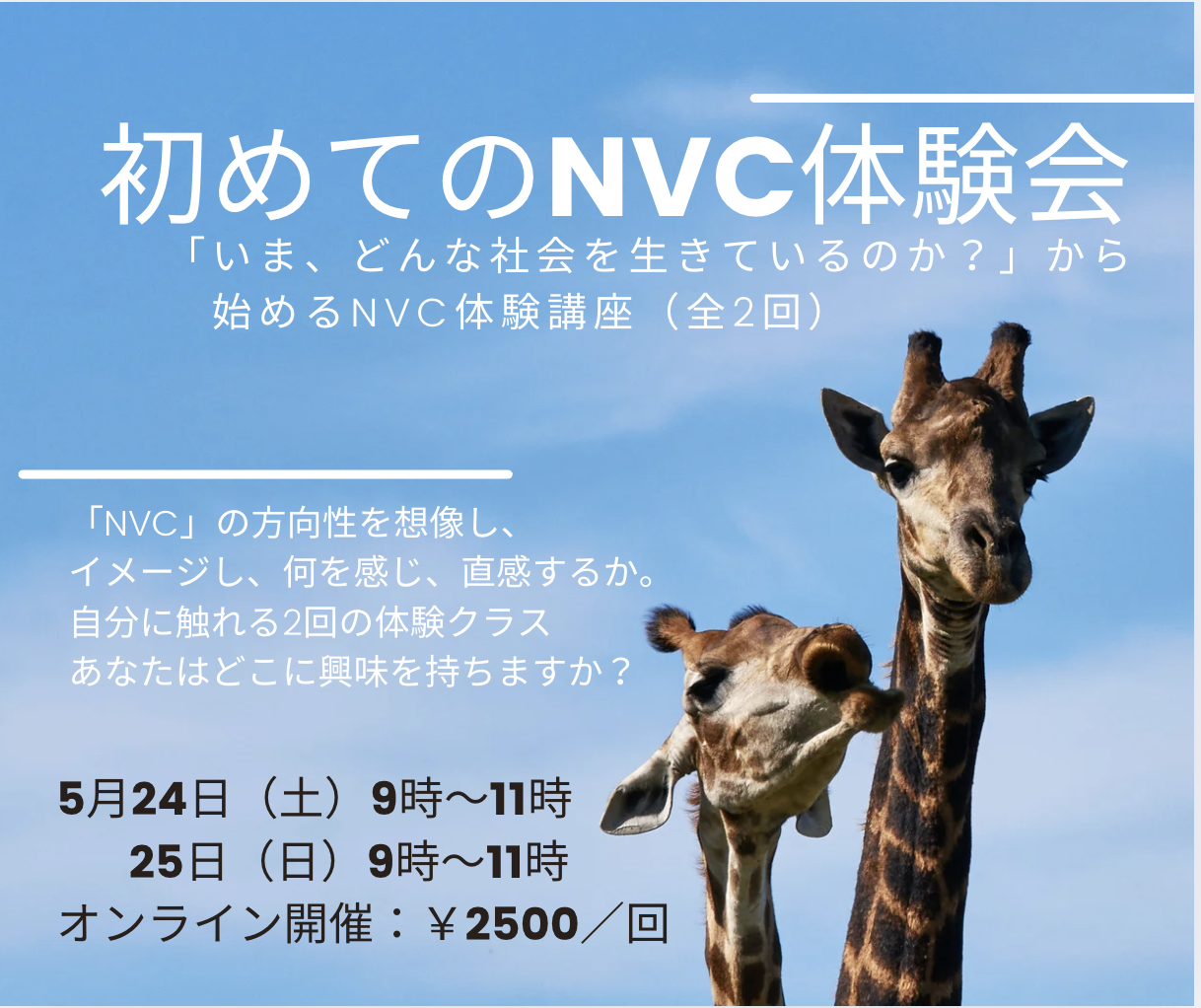 【online5/24-】はじめてのNVC 体験会 「いま、どんな社会を生きているのか？」から始めるNVC体験講座（全2回）〔Sufiya（須藤みな子）〕