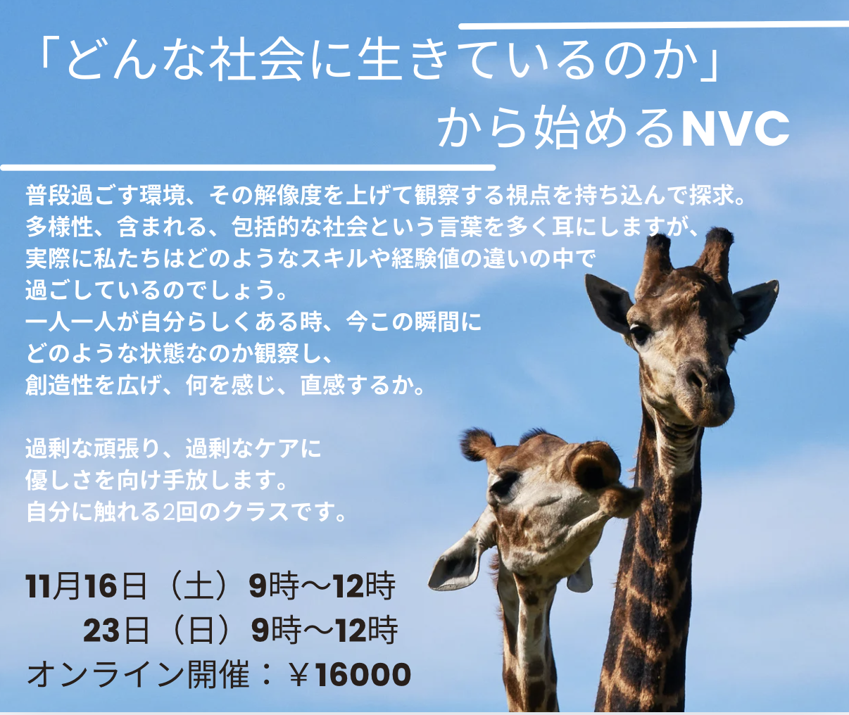 【online11/16-】〜自分とつながる〜「どんな社会に生きているのか」から始めるNVC〔Sufiya（須藤みな子）〕